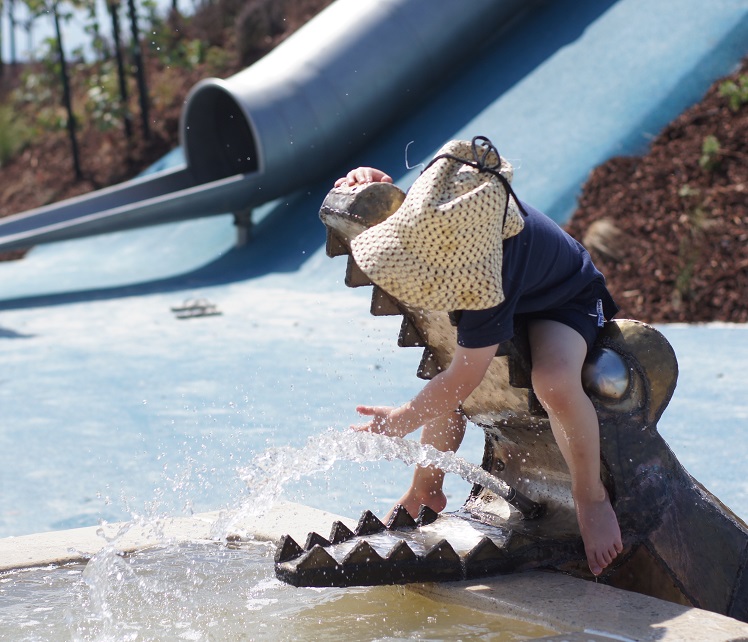 Salt Water Coast Crocodile Playground