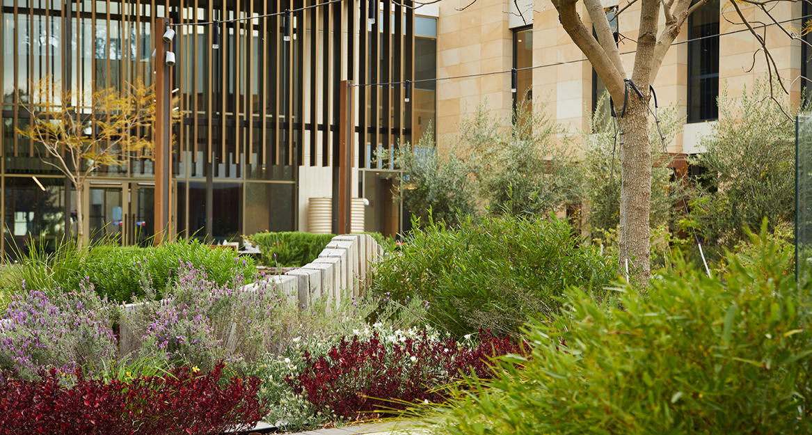 Project spotlight: Karingal Green Health & Aged Care Community
