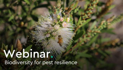 Webinar: Biodiversity for Pest Resilience with Ozbreed